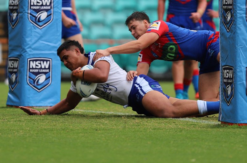 Bulldogs cheered on by NRL squad - OurFootyTeam