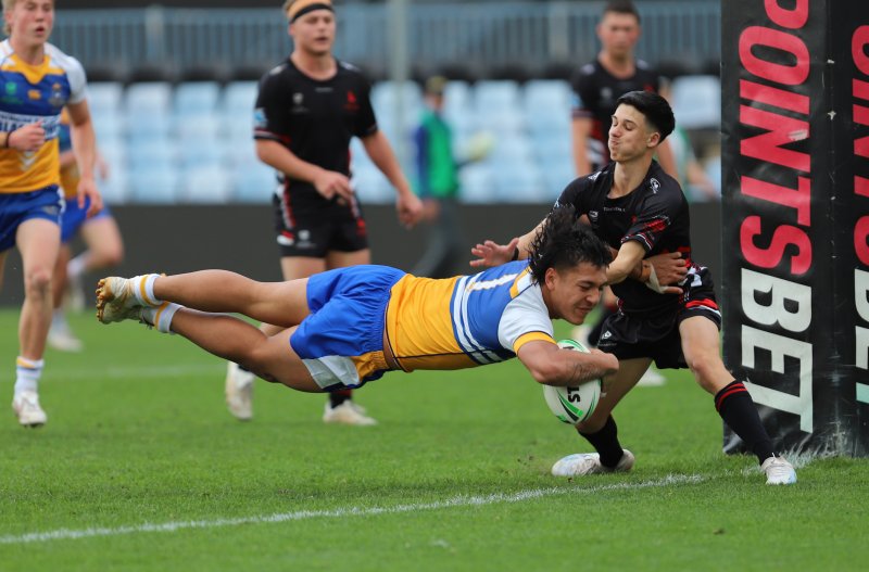 Patties run riot on Shark Park - OurFootyTeam
